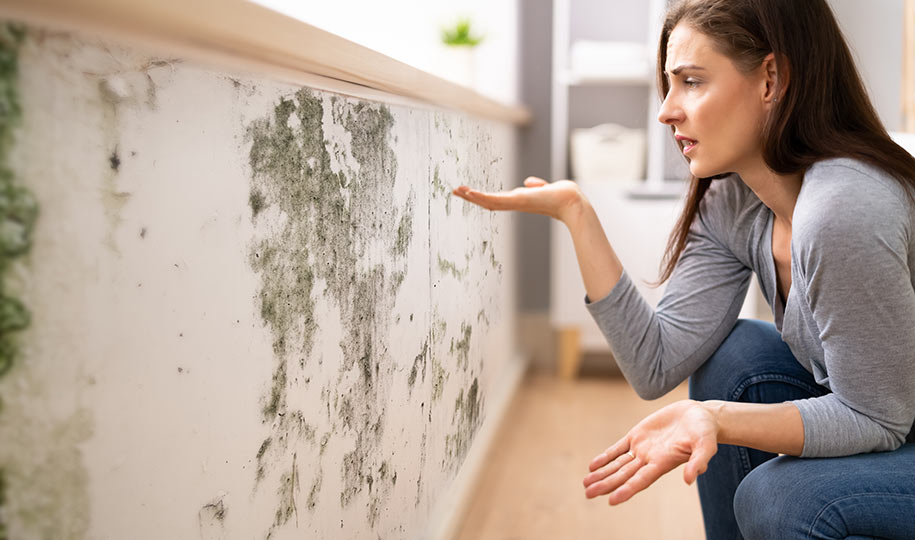 Understanding Your Home Warranty's Waiting Period