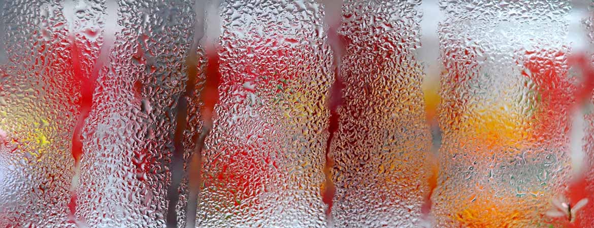 Condensation in Fridge: Causes, Prevention & Expert Solutions
