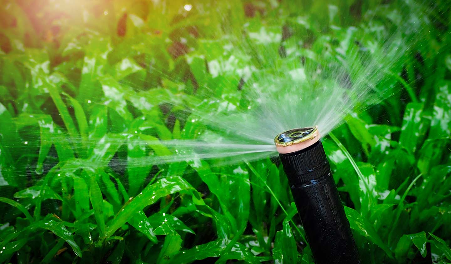 Summer Water Conservation Tips | First American Home Warranty
