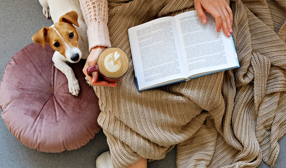 Energy-Efficient Appliances: Worth the Investment? | First American