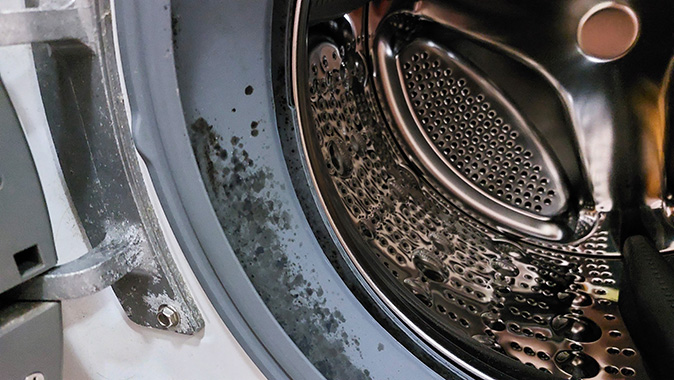 Signs of Mold in Washing Machine| First American Home Warranty
