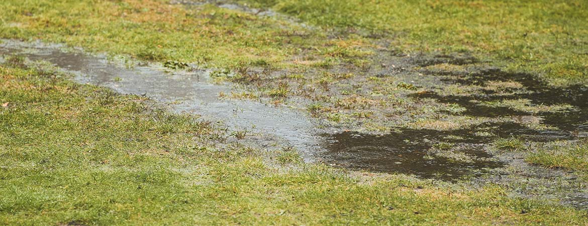 Standing Water in the Yard? Here's Why | First American Home Warranty