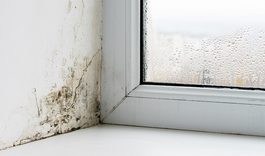 Best Smoke Detectors and Carbon Monoxide Detectors Guide | First ...